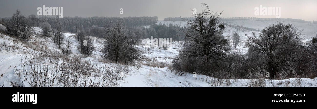 panorama winter landscape with hills.Europe.Ukraine.Kharkov Stock Photo ...