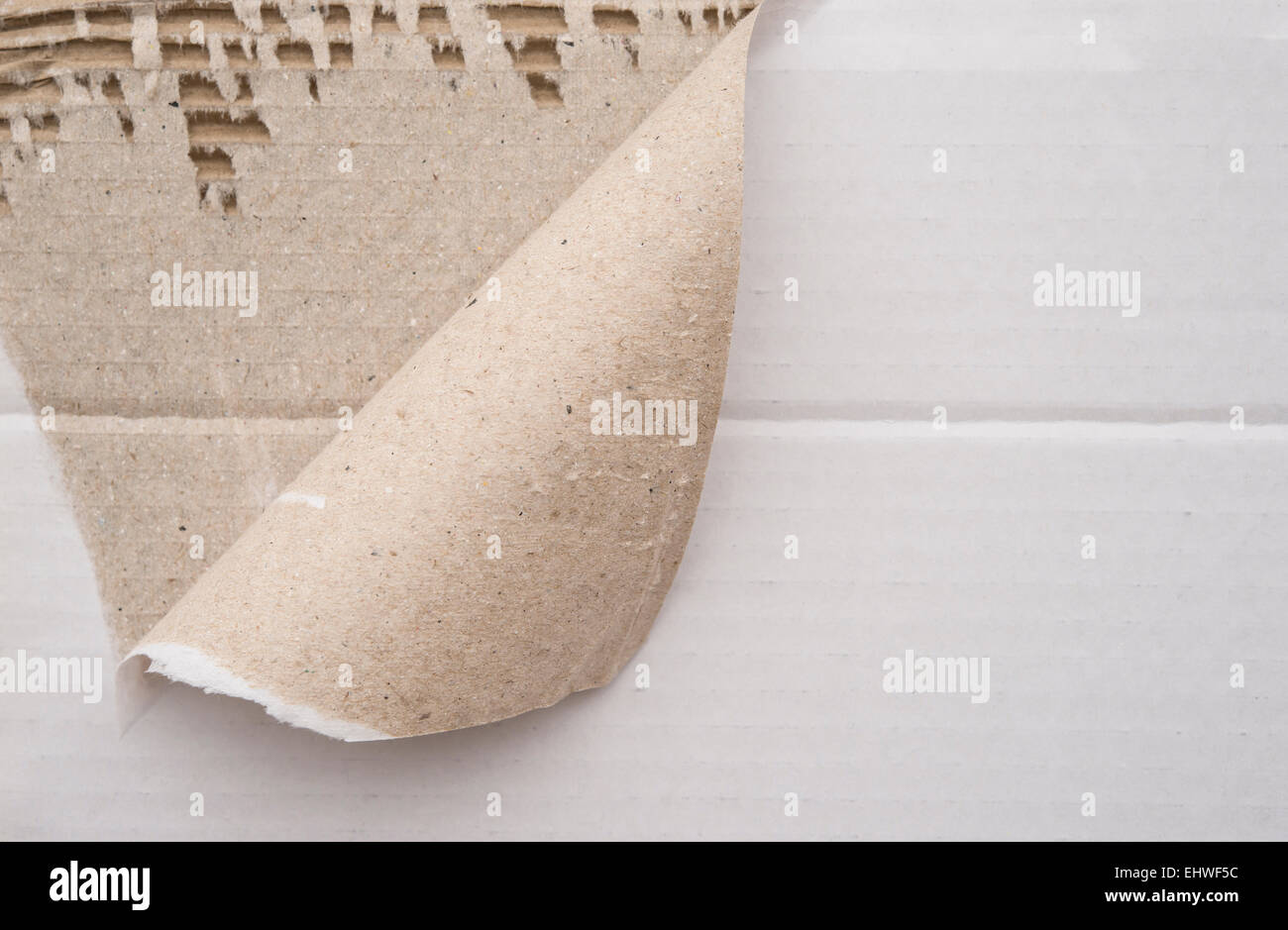 cardboard corrugated pattern with a torn corner, horizontal Stock Photo - Alamy