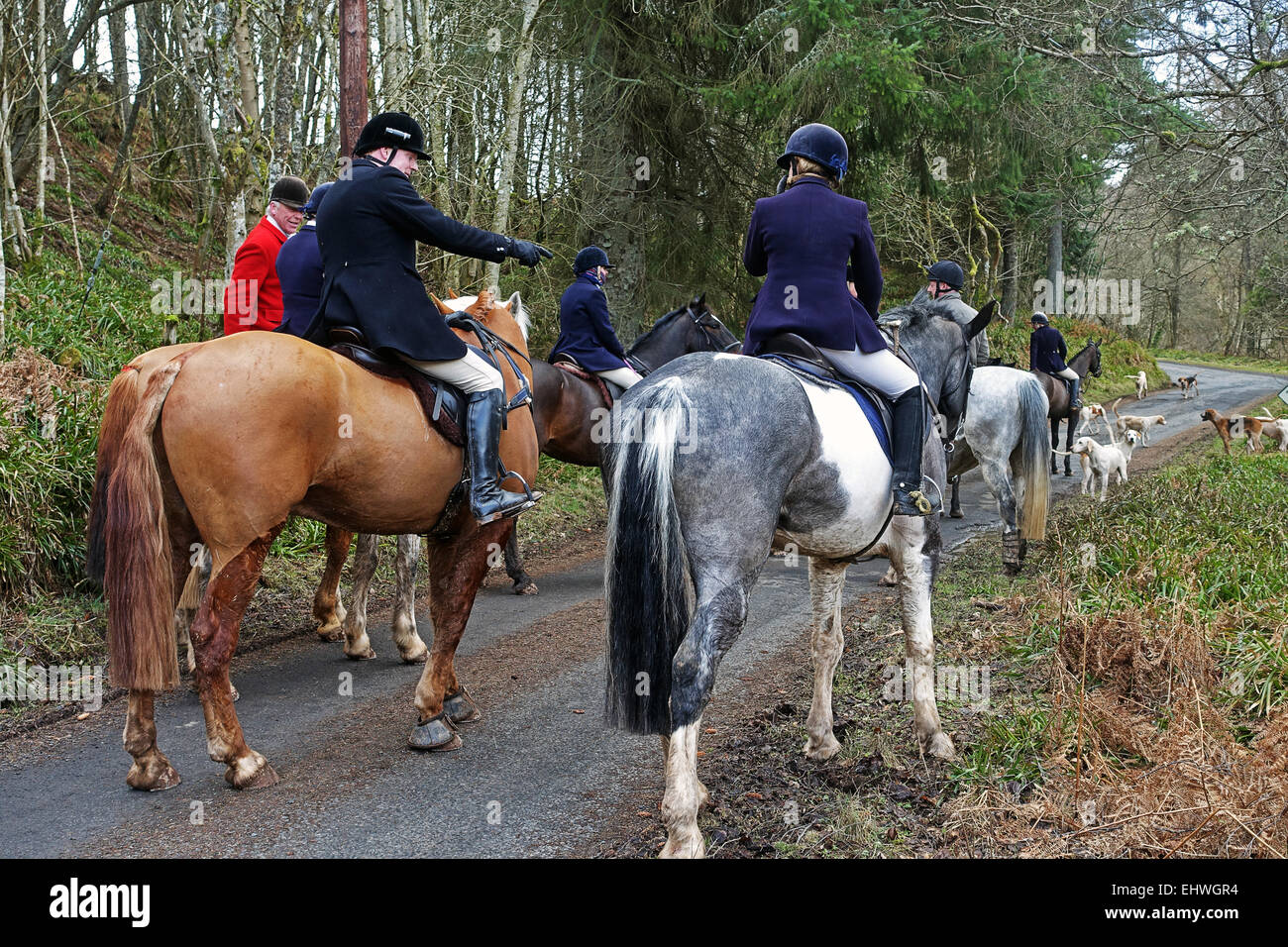 Berwickshire Hunt at Longformacus.Scottish borders Stock Photo - Alamy