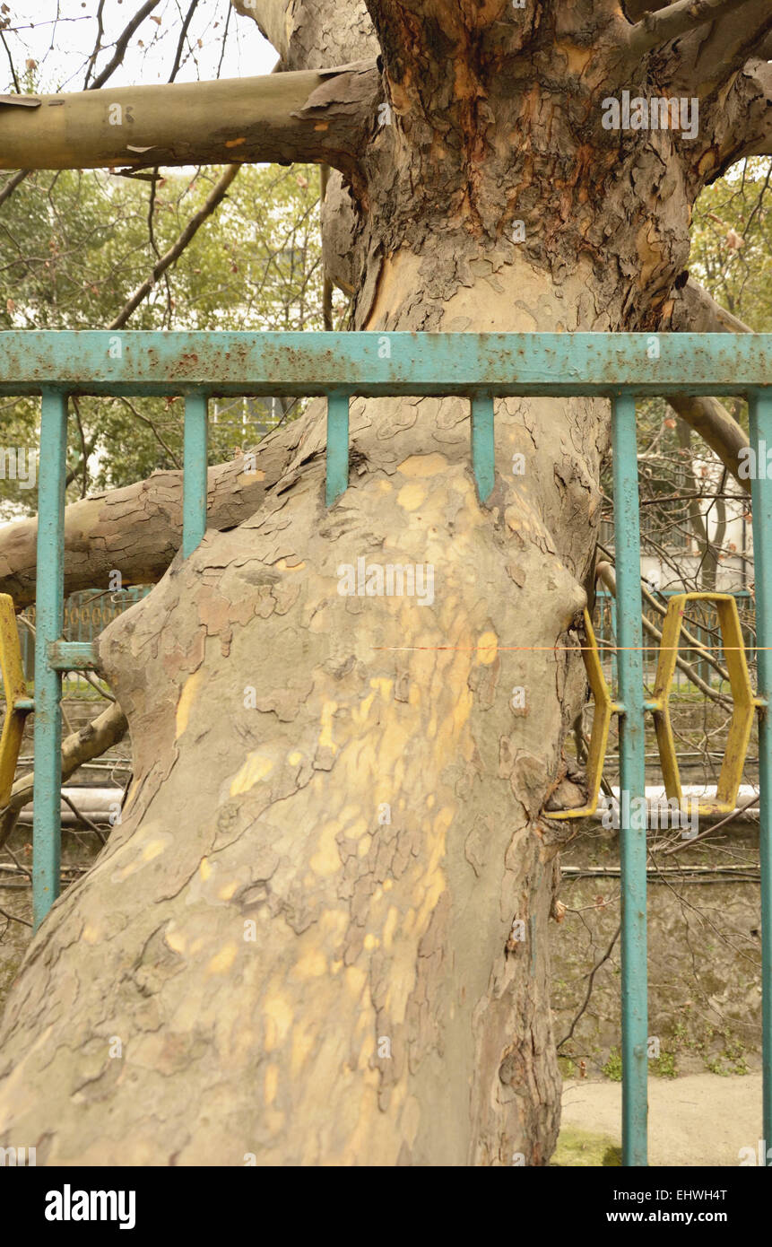 Shiyan, Hubei, CHN. 17th Mar, 2015. SHIYAN, CHINA - MAR 17 2015: (Only ...