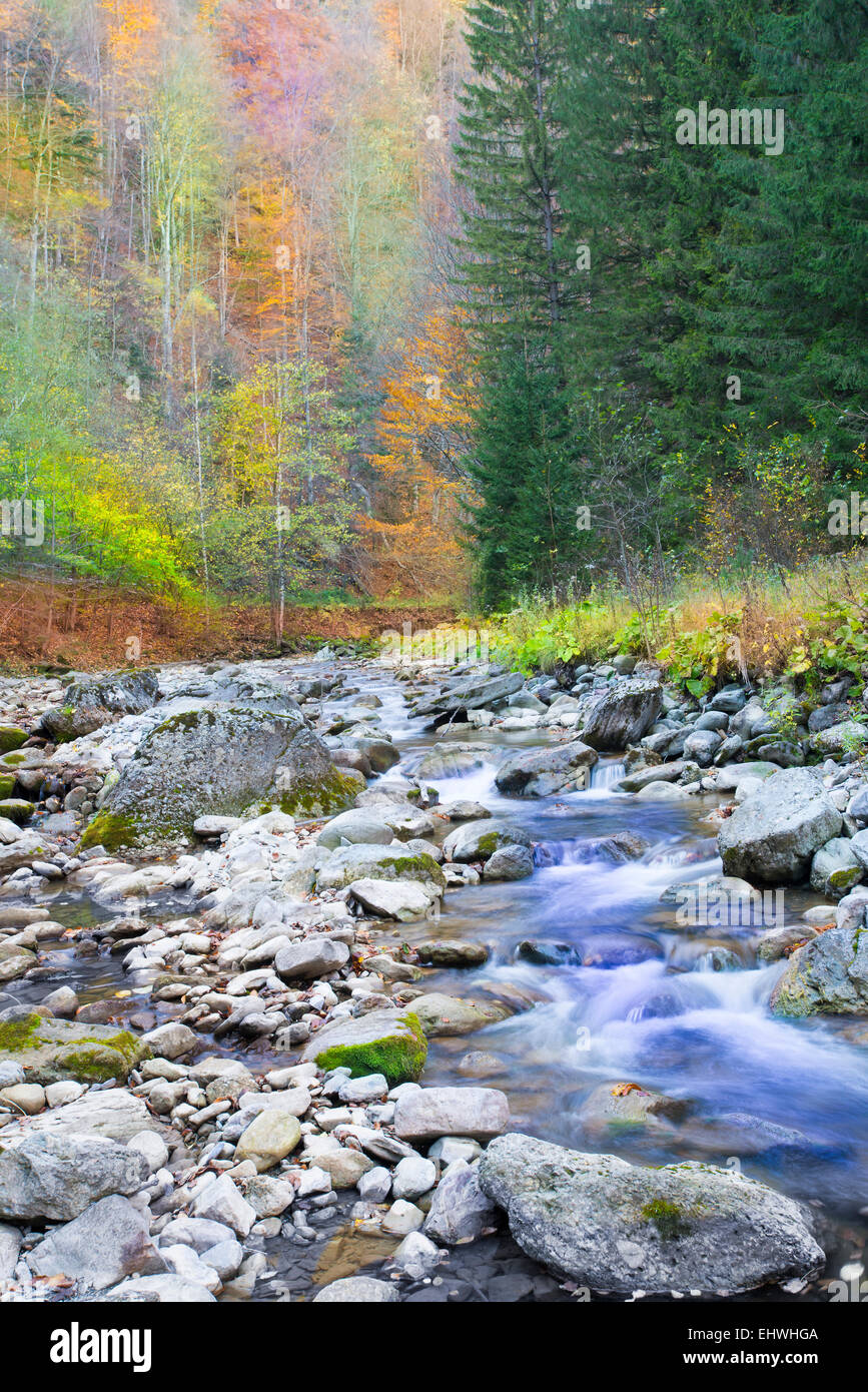 Autumn fall river rock tree hi-res stock photography and images - Alamy