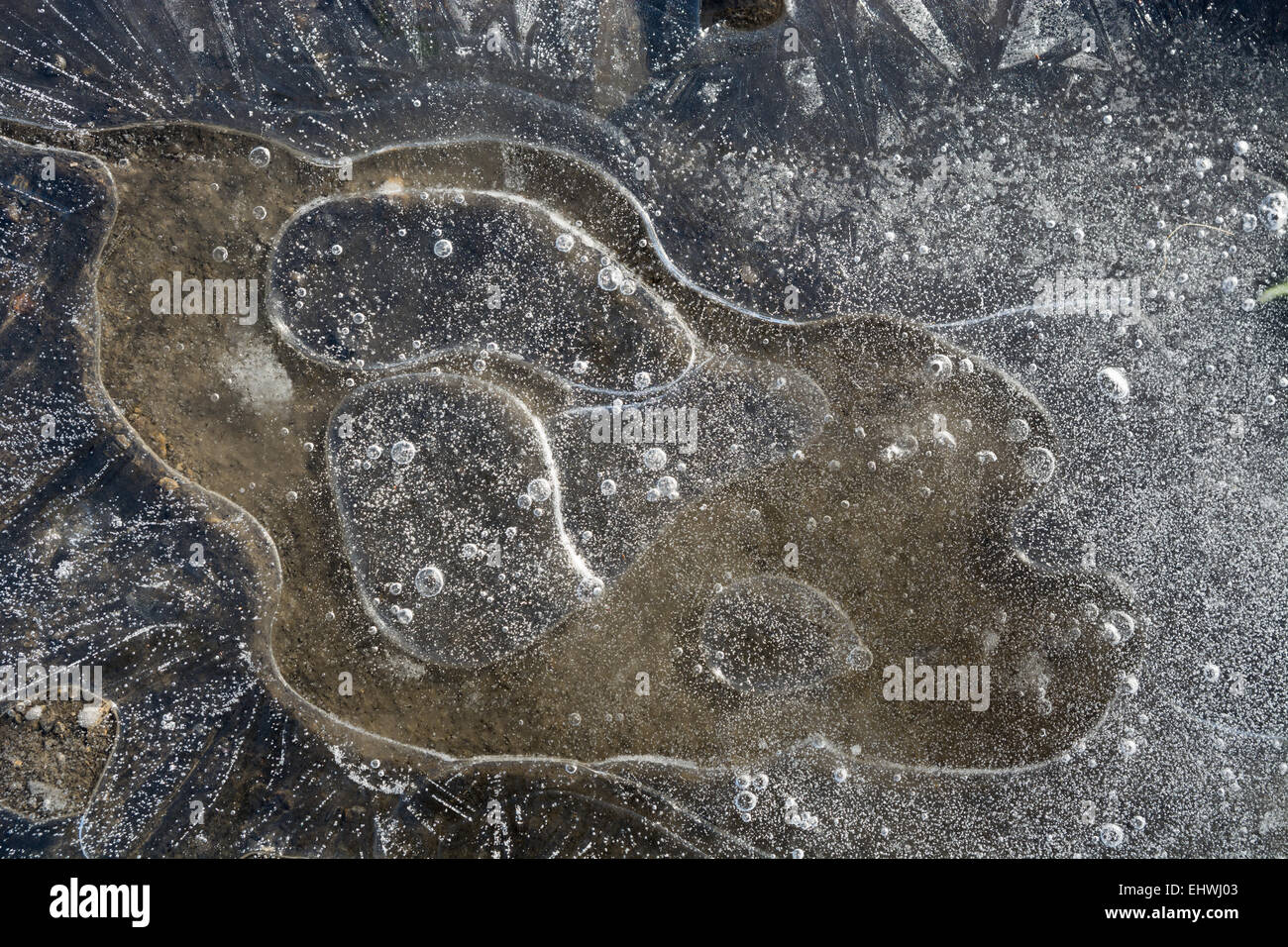 Frost frozen ice hi-res stock photography and images - Alamy