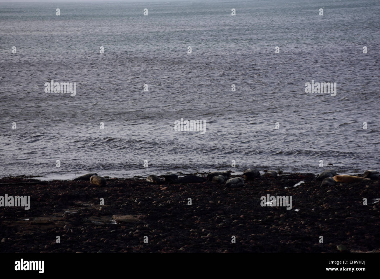 Portgordon High Resolution Stock Photography and Images - Alamy