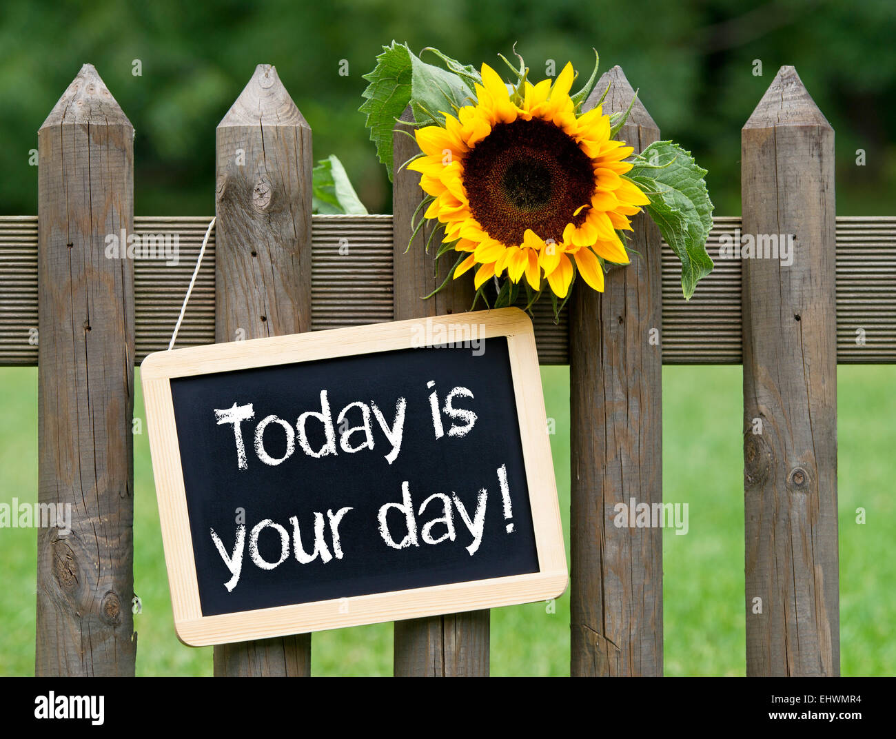 Today is your day ! Stock Photo - Alamy