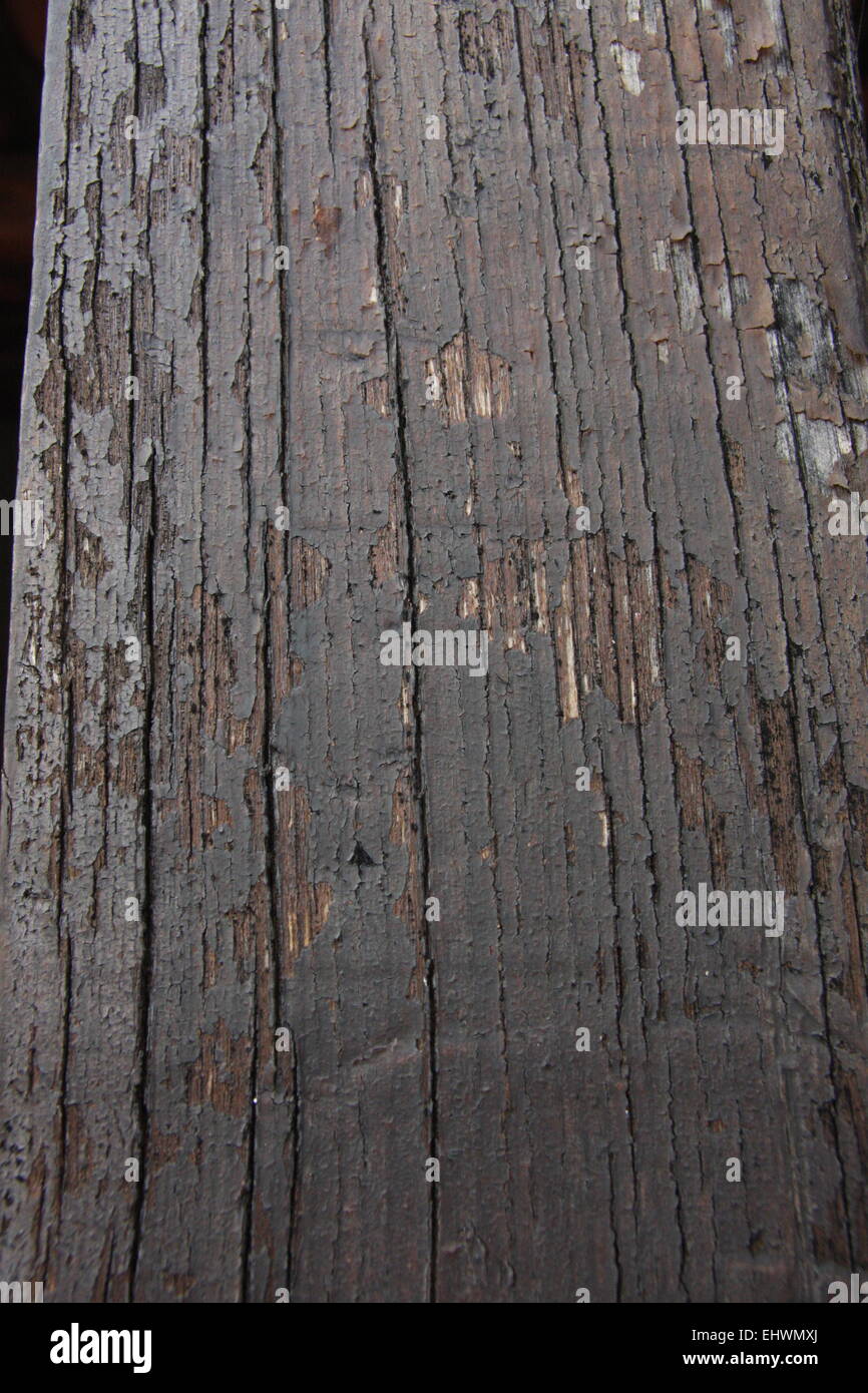 Billets of wood hi-res stock photography and images - Alamy