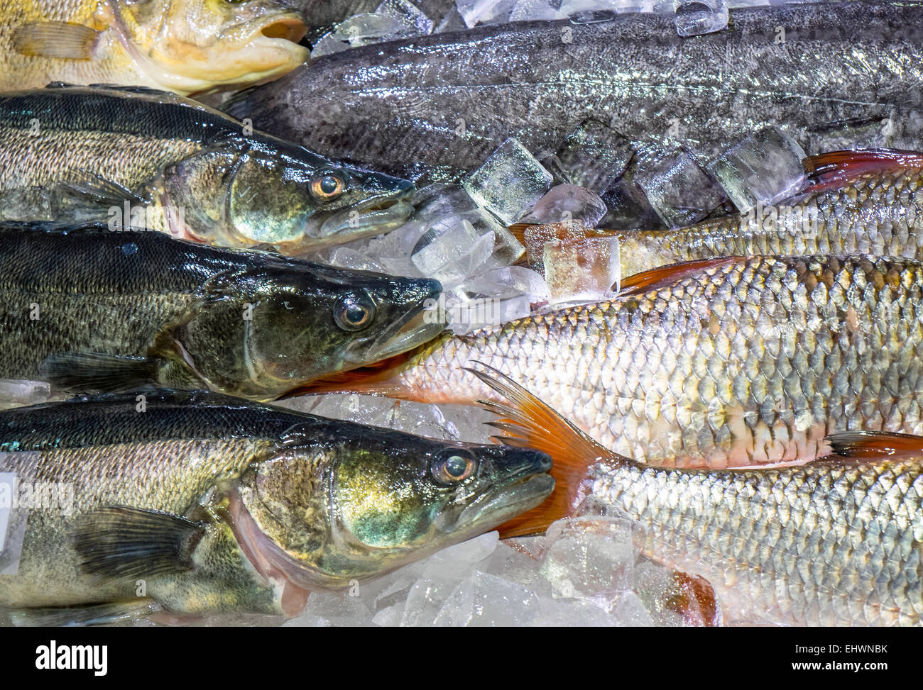 Ice for sale hi-res stock photography and images - Alamy