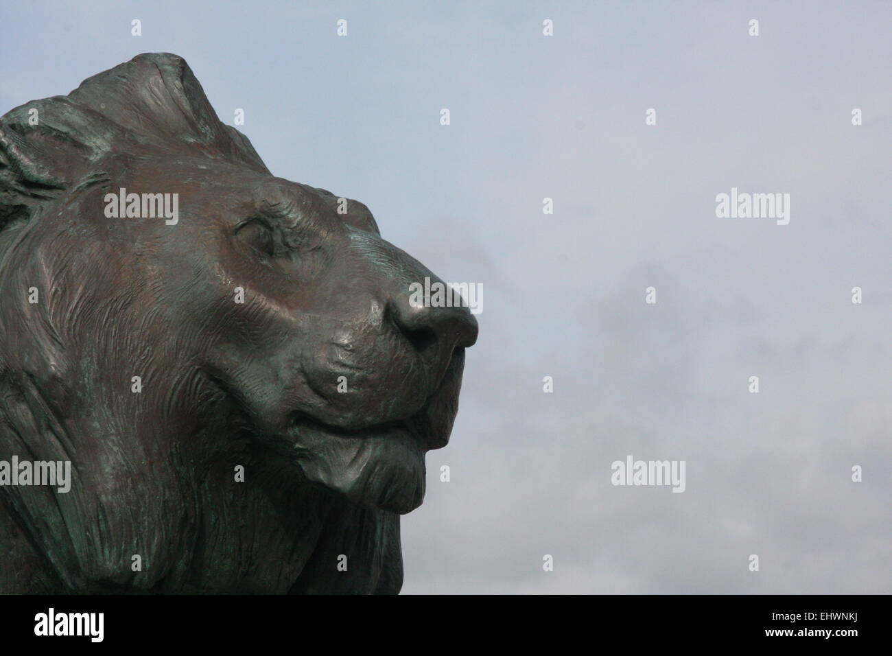 Staty of a lion in Bonifacio, Corsica Stock Photo - Alamy