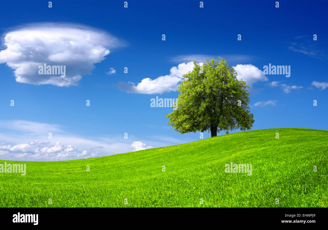 Nature green landscape Stock Photo - Alamy