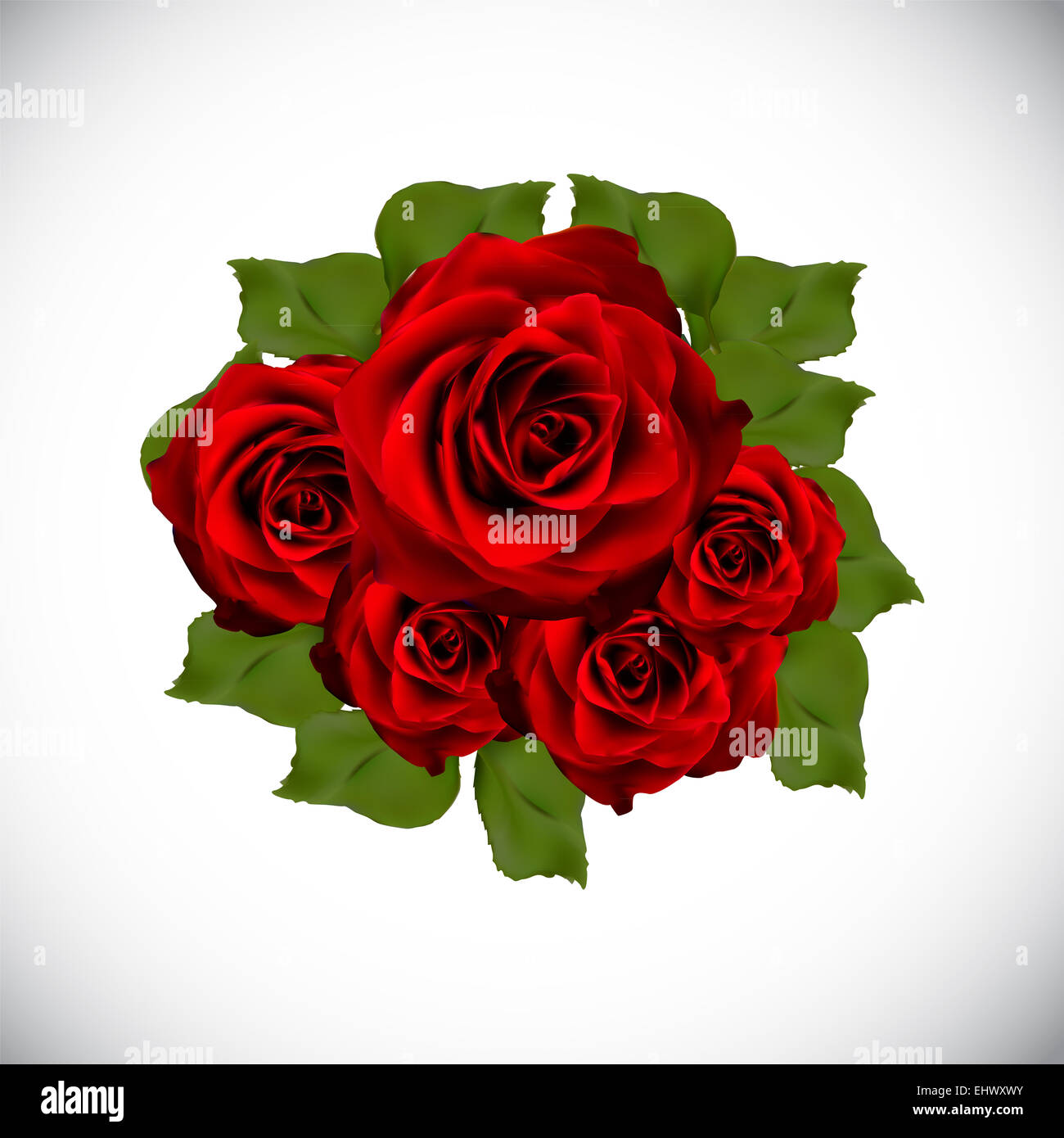 Realistic rose hi-res stock photography and images - Alamy