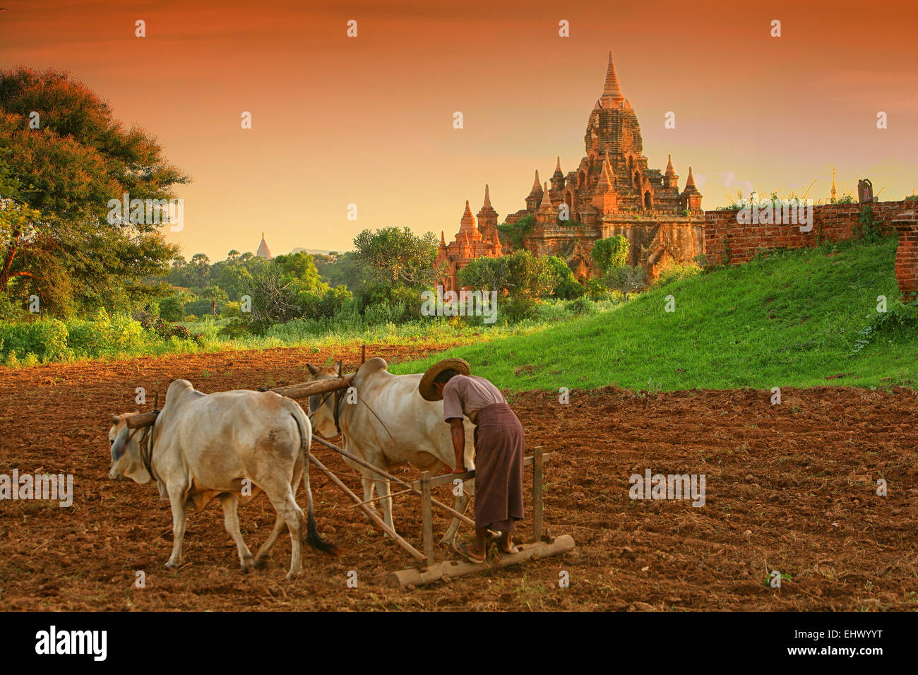 Peasant plough hi-res stock photography and images - Alamy