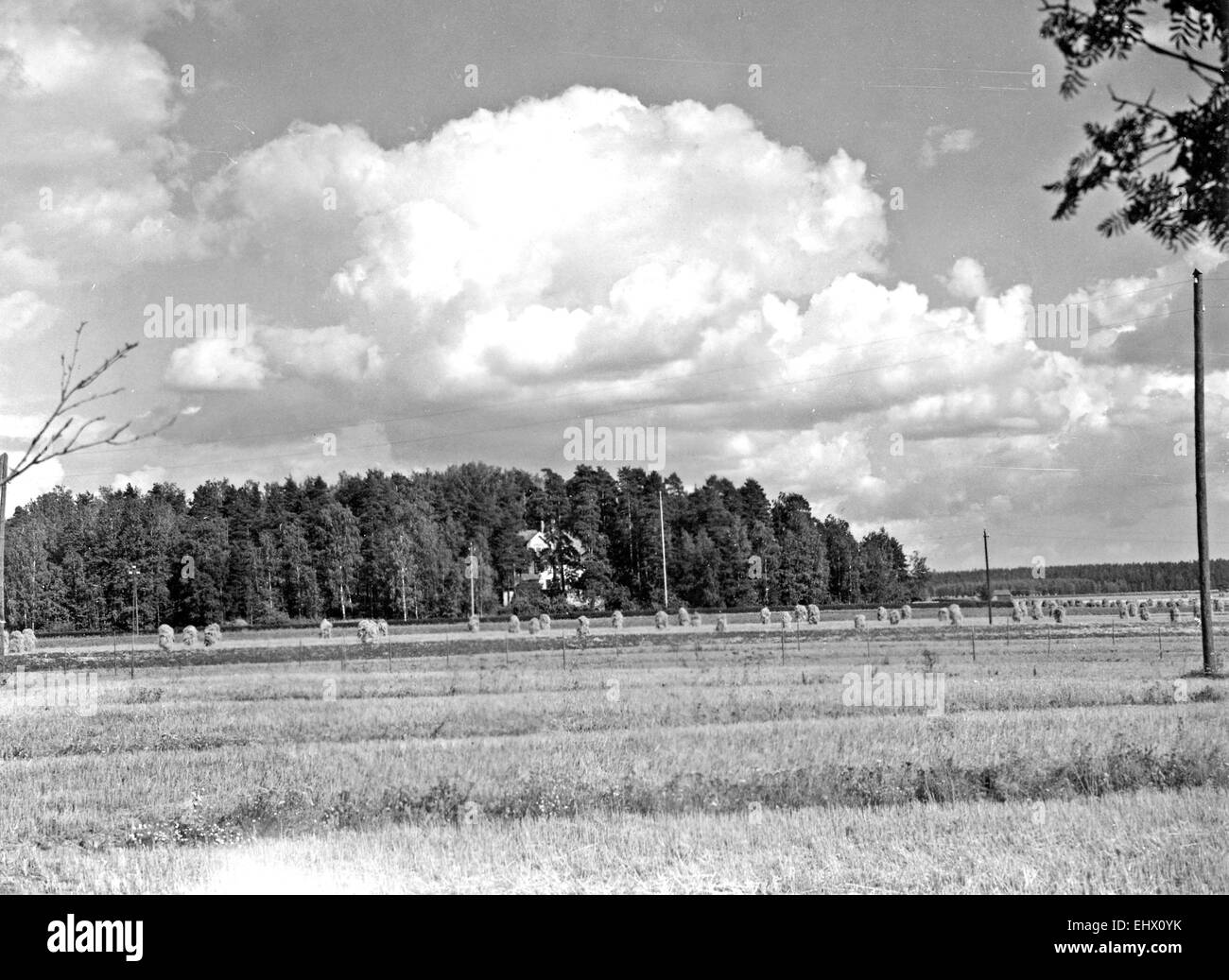 JEAN SIBELIUS (1865-1957) The Finnish composer's Jarvenpaa home in 1939 Stock Photo - Alamy