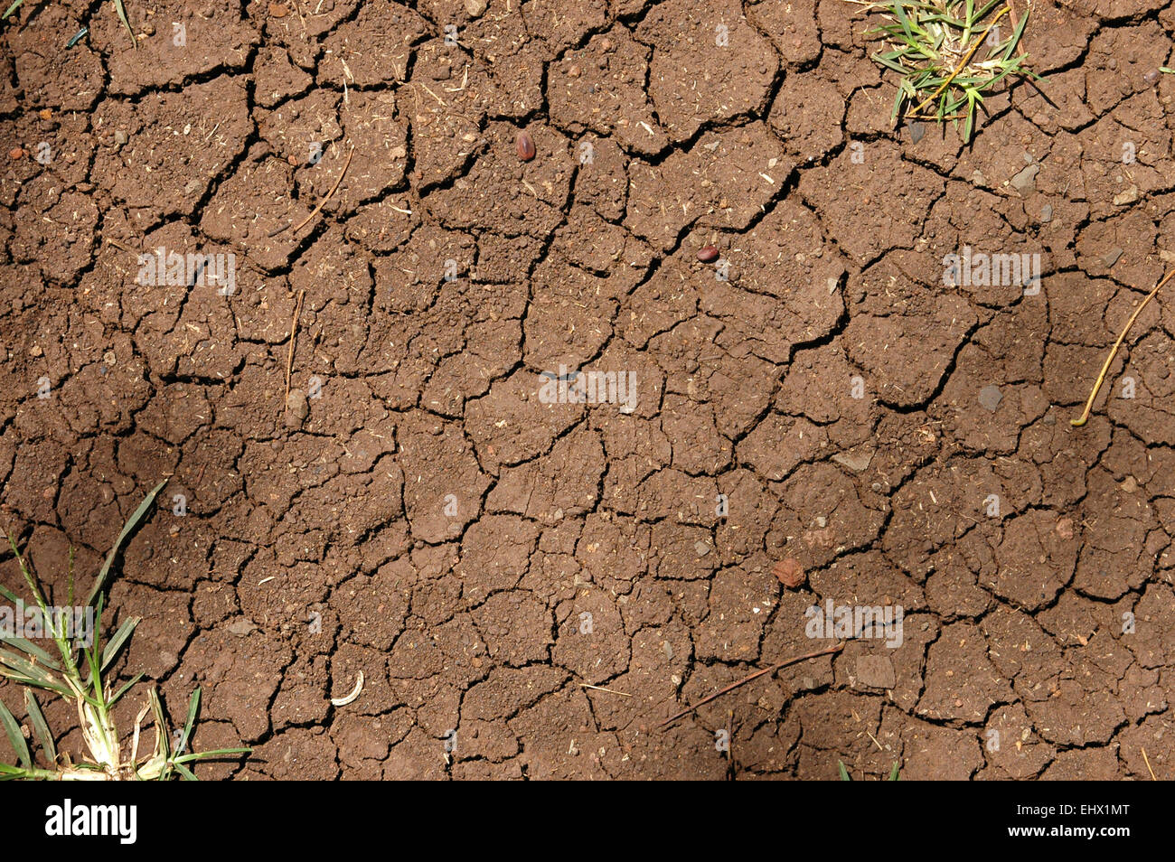 Background Texture Of Cracked Earth Stock Photo - Alamy