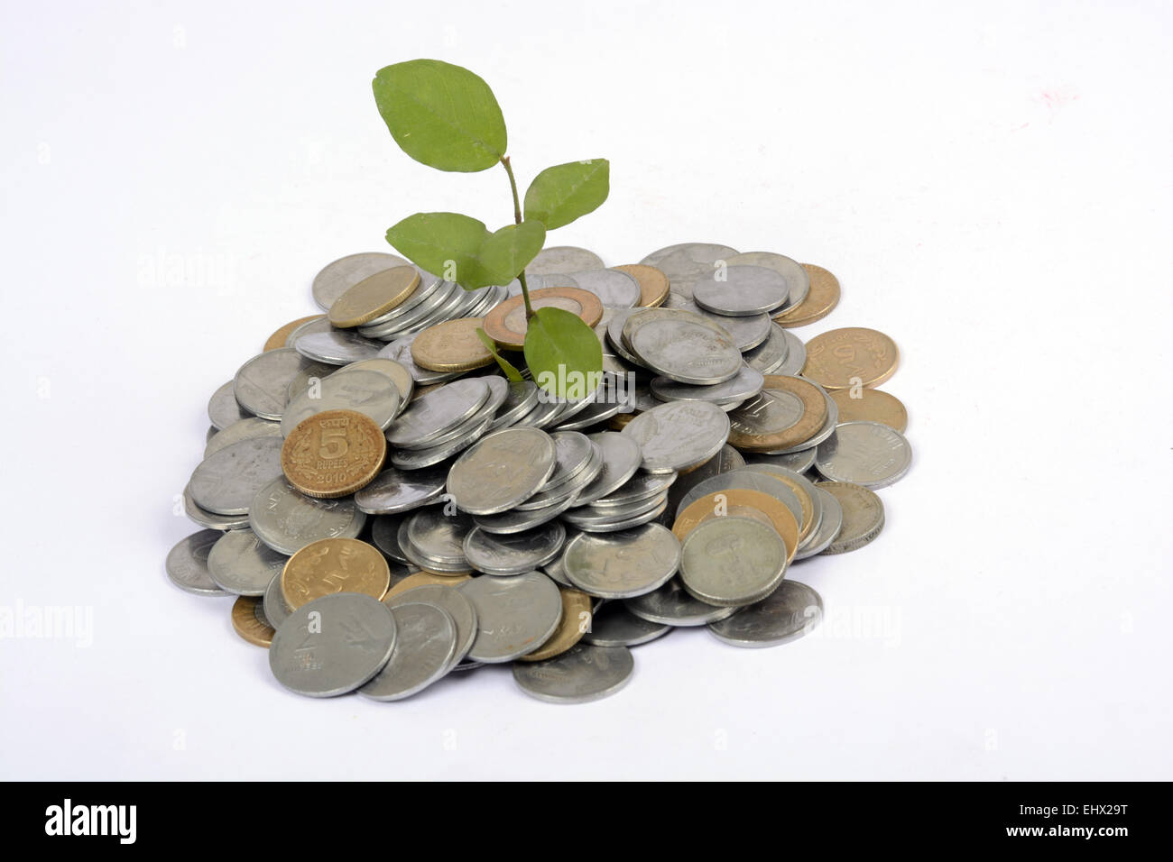 Growth coin hi-res stock photography and images - Alamy