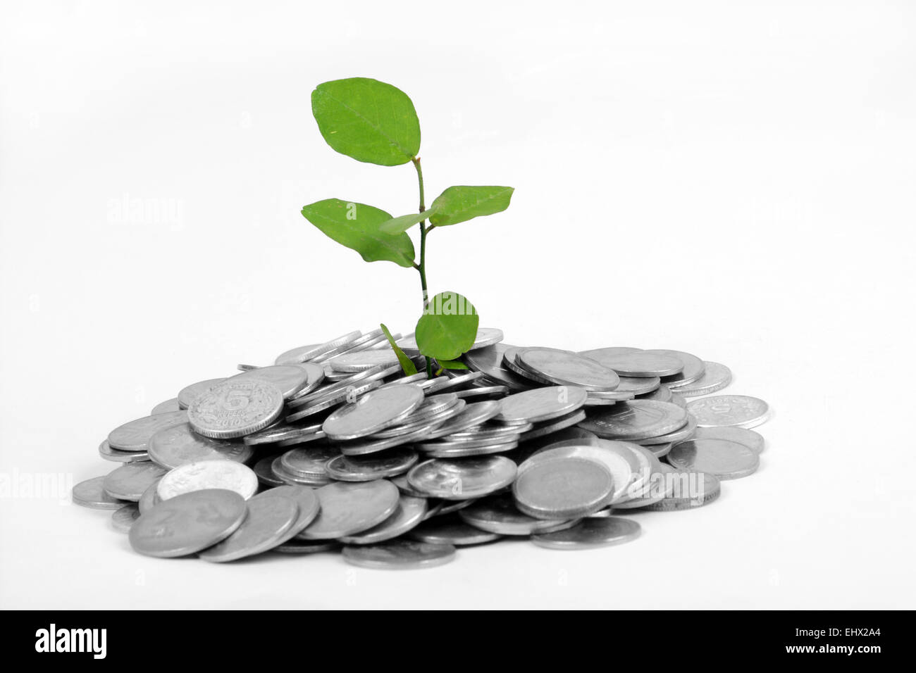 Seedling in coins hi-res stock photography and images - Alamy
