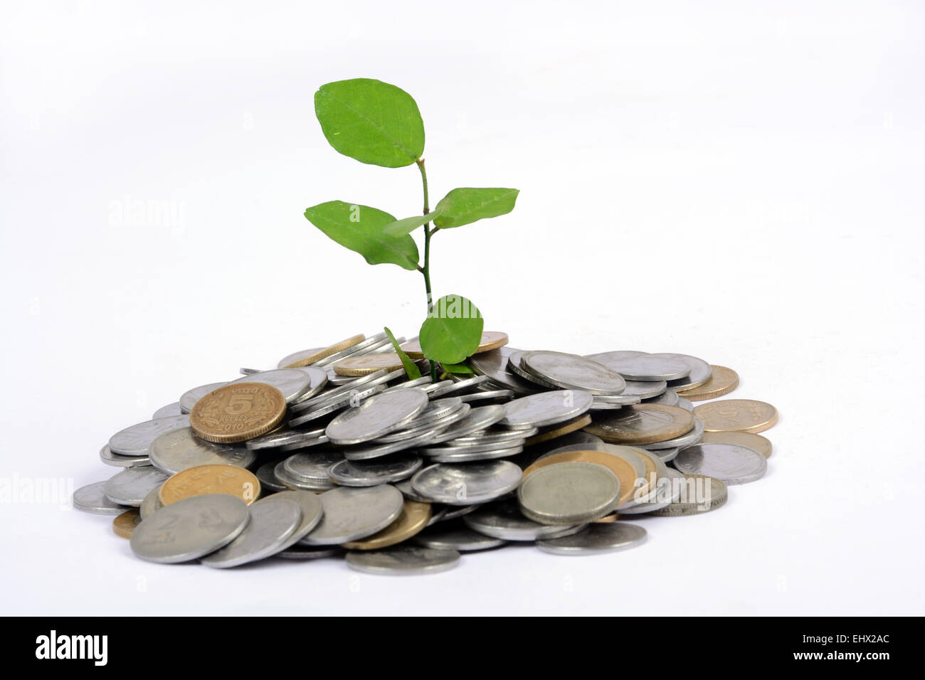 Seedling in coins hi-res stock photography and images - Alamy