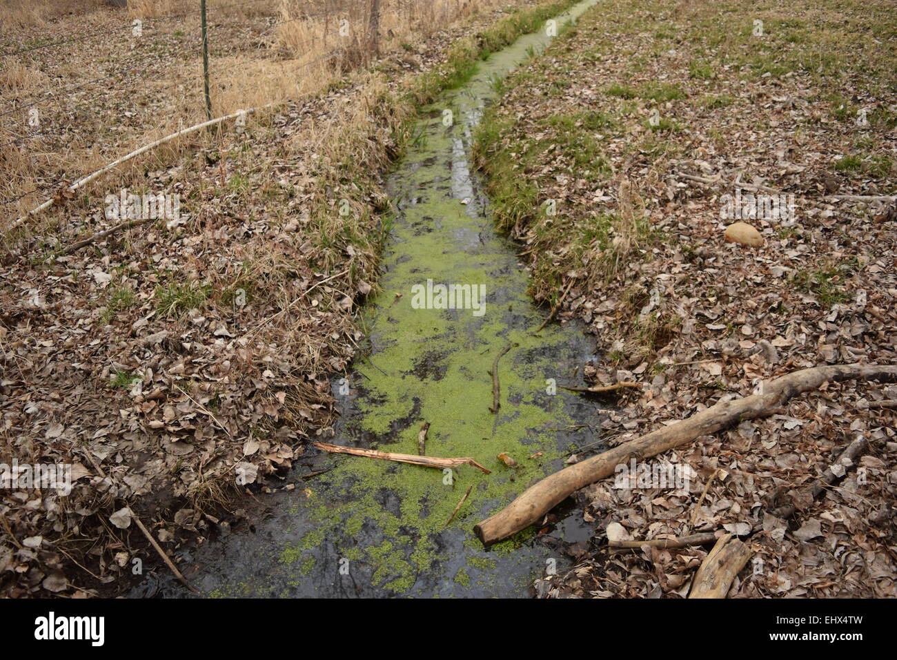 Stream farm hi-res stock photography and images - Alamy