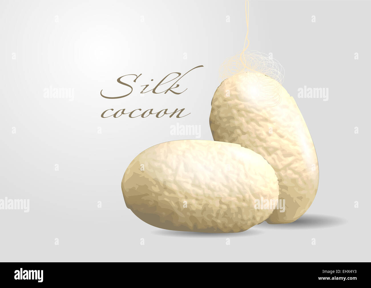 Cocoon vector hi-res stock photography and images - Alamy