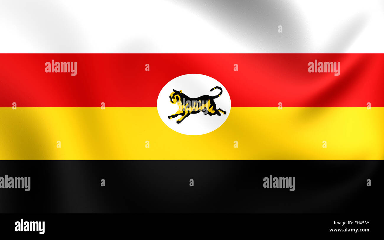 Flag of the Federated Malay States (1895-1946). Close Up Stock Photo ...