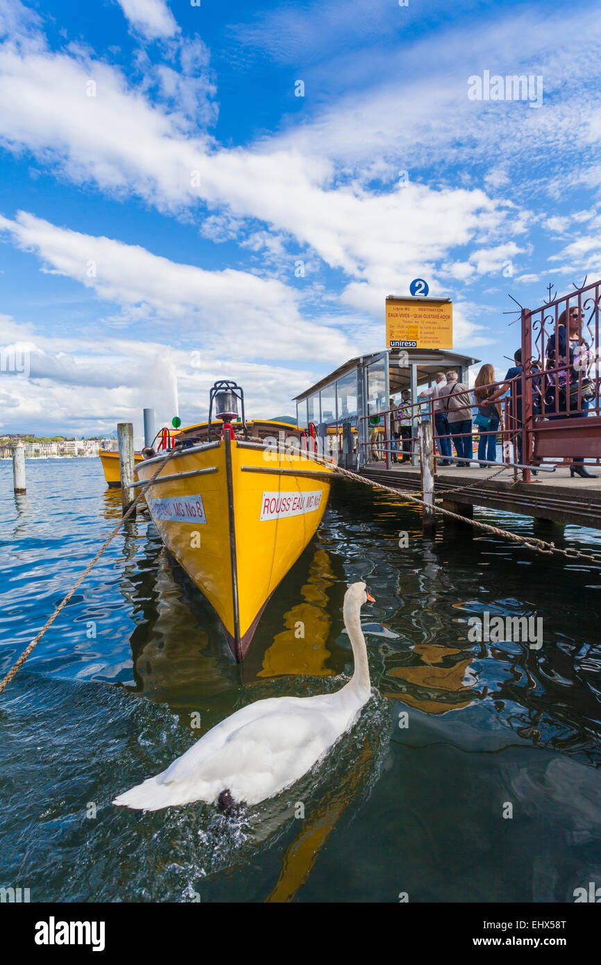 Switzerland, Geneva, Lake Geneva, water taxi and swan at jetty Stock ...