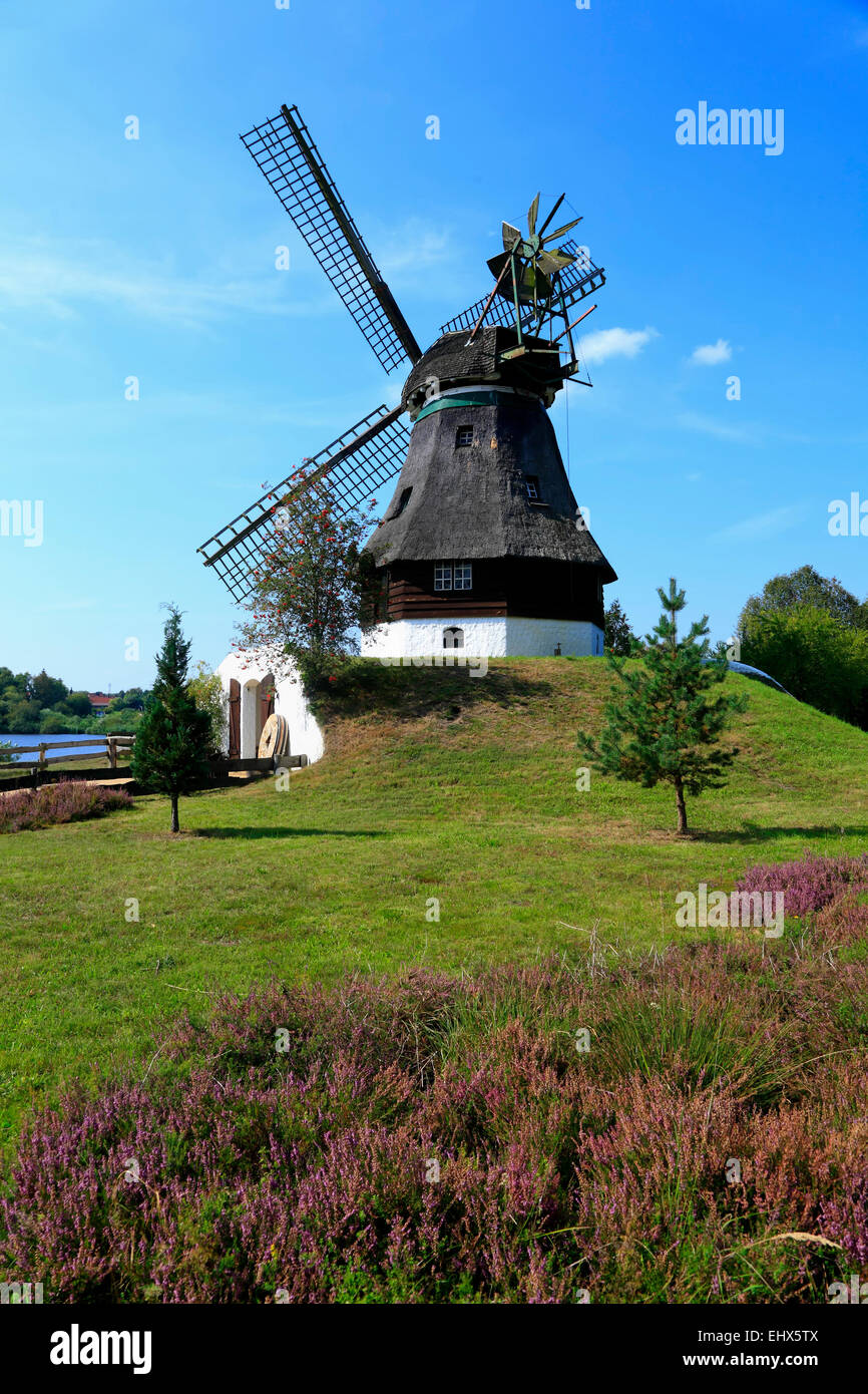 Berghollaender mill IMMANUEL at Mill museum Gifhorn, Lower Saxony ...