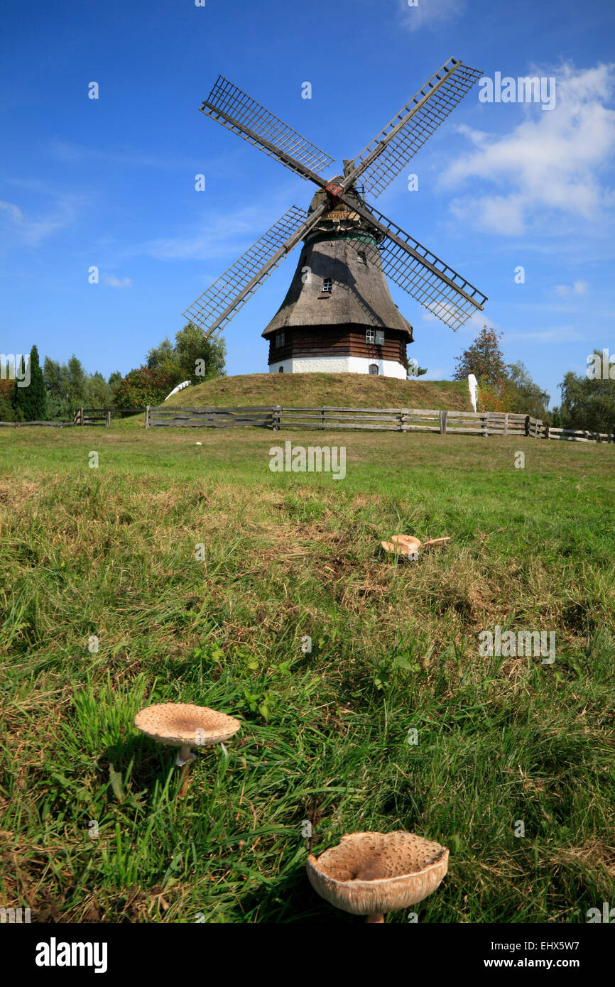 Berghollaender mill IMMANUEL at Mill museum Gifhorn, Lower Saxony ...