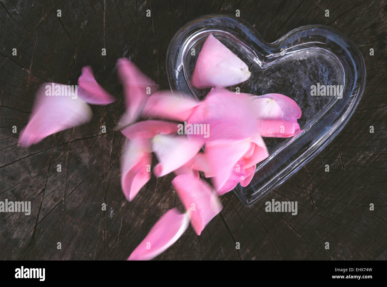 Rose leaves falling in heart shape on wood Stock Photo - Alamy