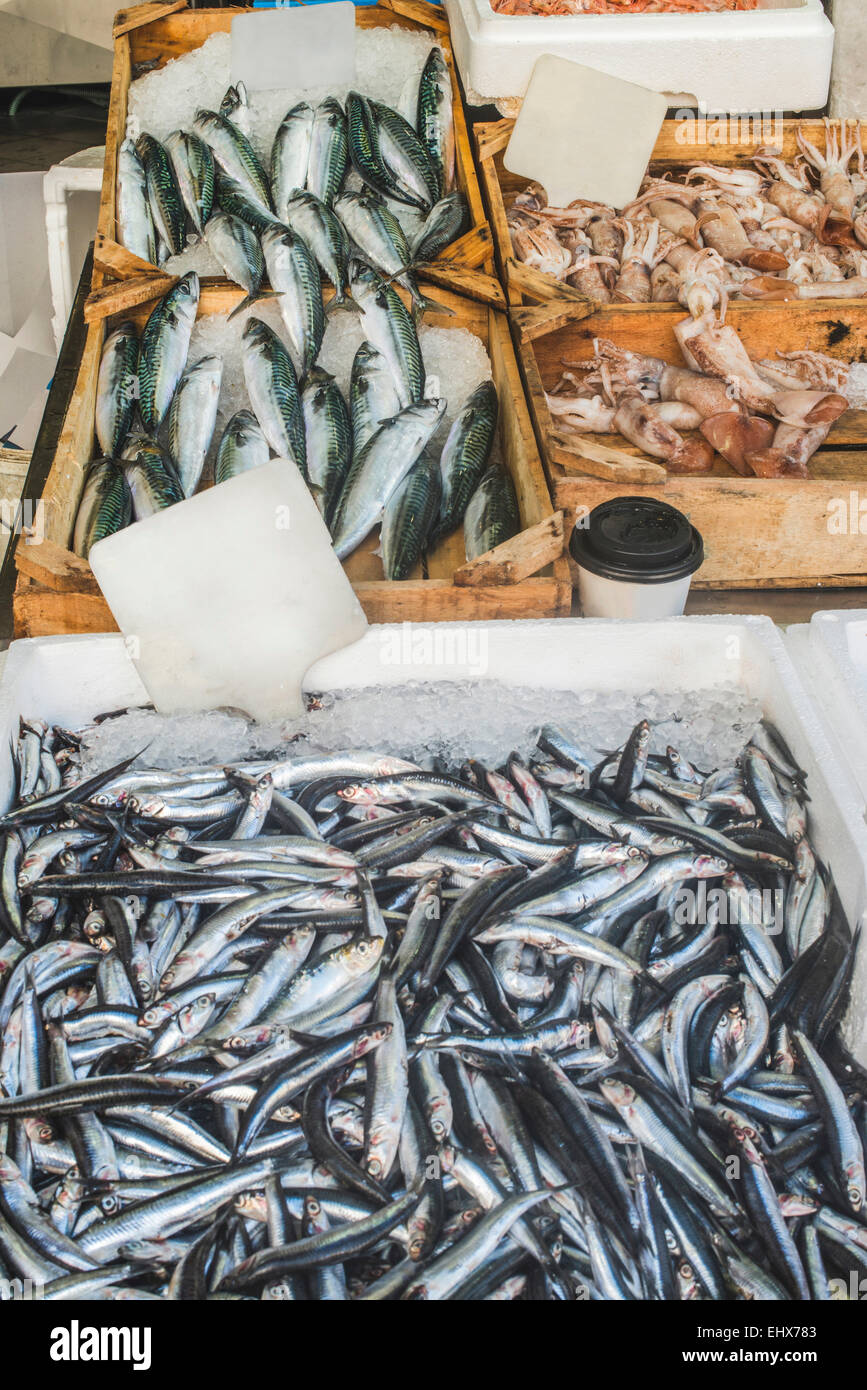 Athens piraeus fish hi-res stock photography and images - Alamy