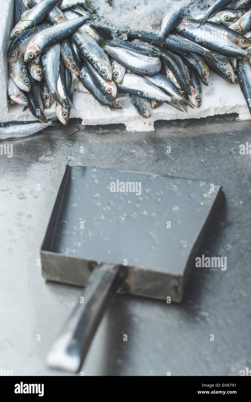 Greece, Athens, Fresh fish in market at Piraeus Stock Photo - Alamy