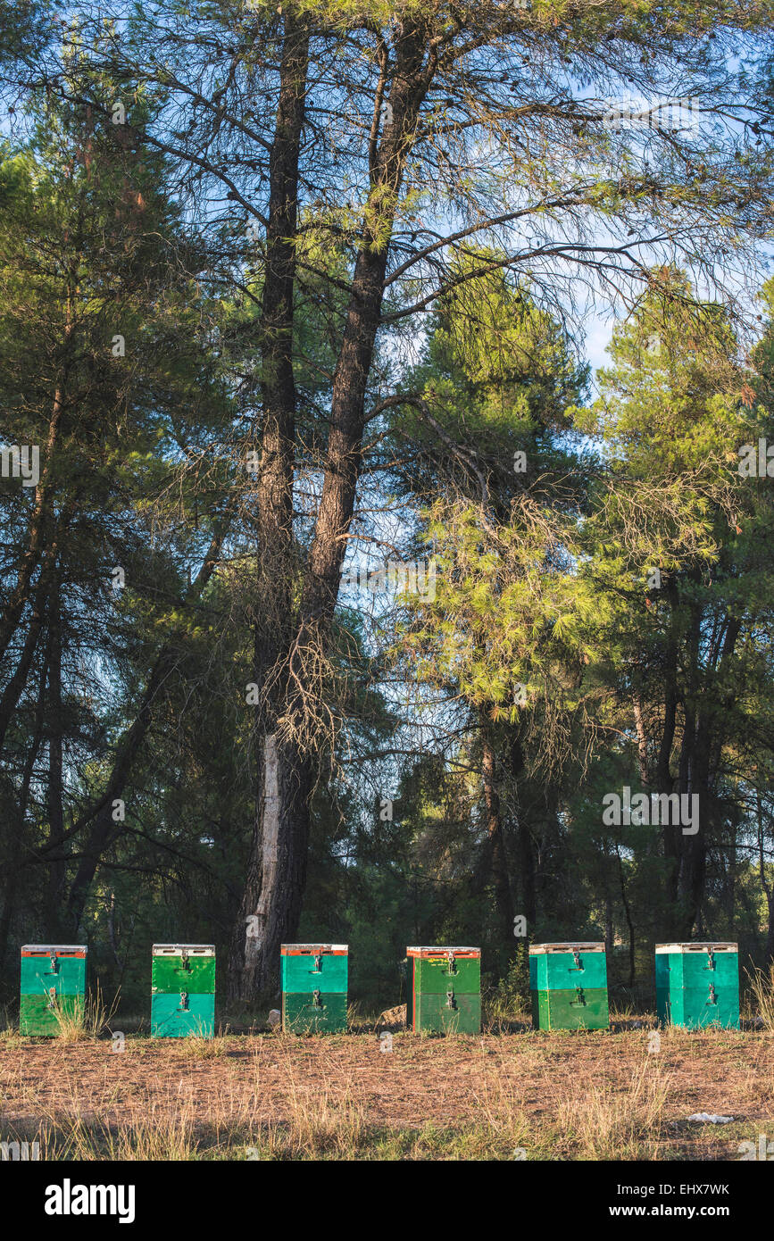 Greece, green beehives, trees in background Stock Photo - Alamy
