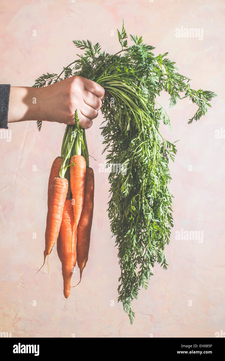 Hanging carrots hi-res stock photography and images - Alamy