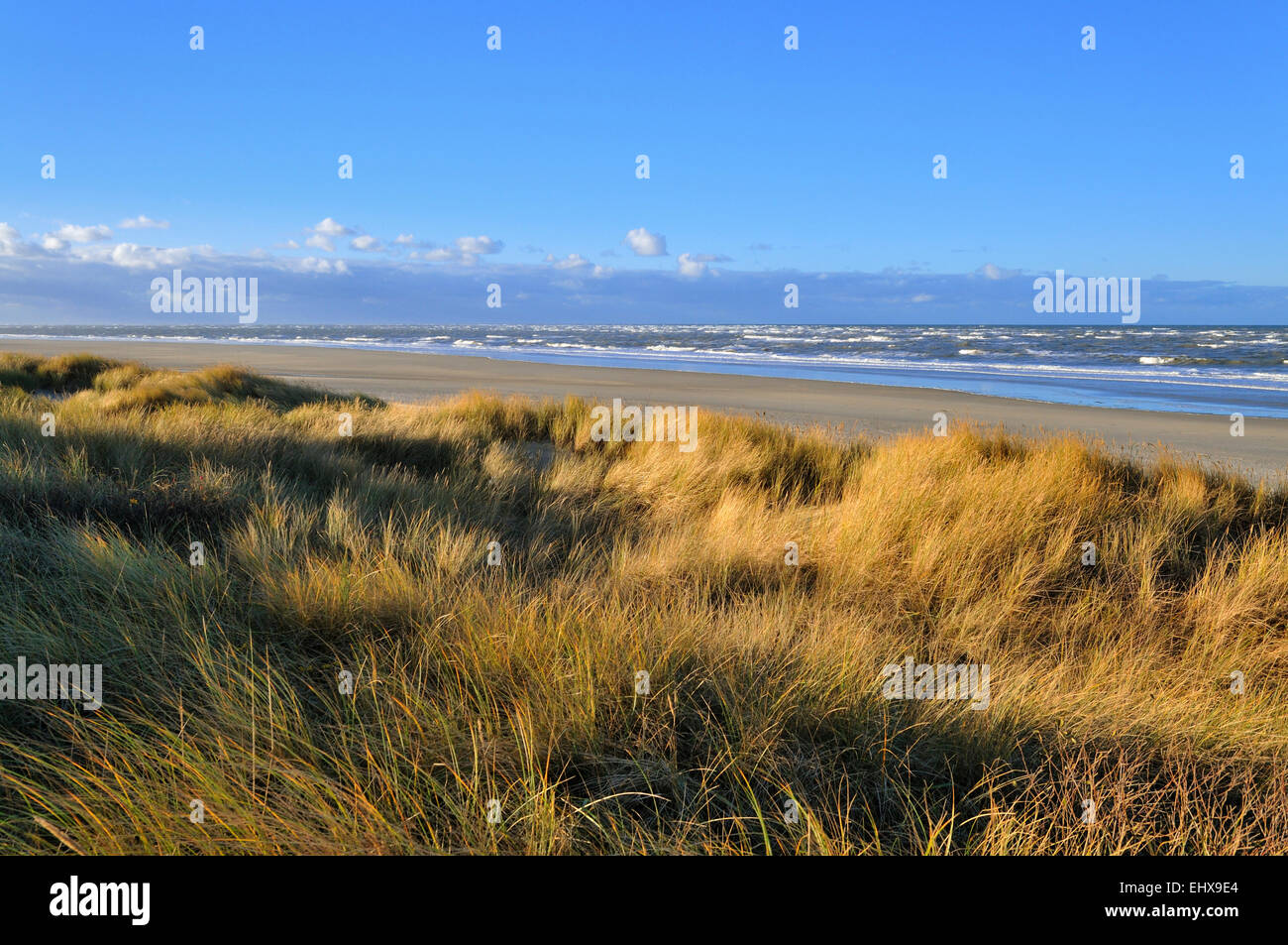 Langeoog Island, dunes on the north beach, choppy Sea, North Sea, Lower ...