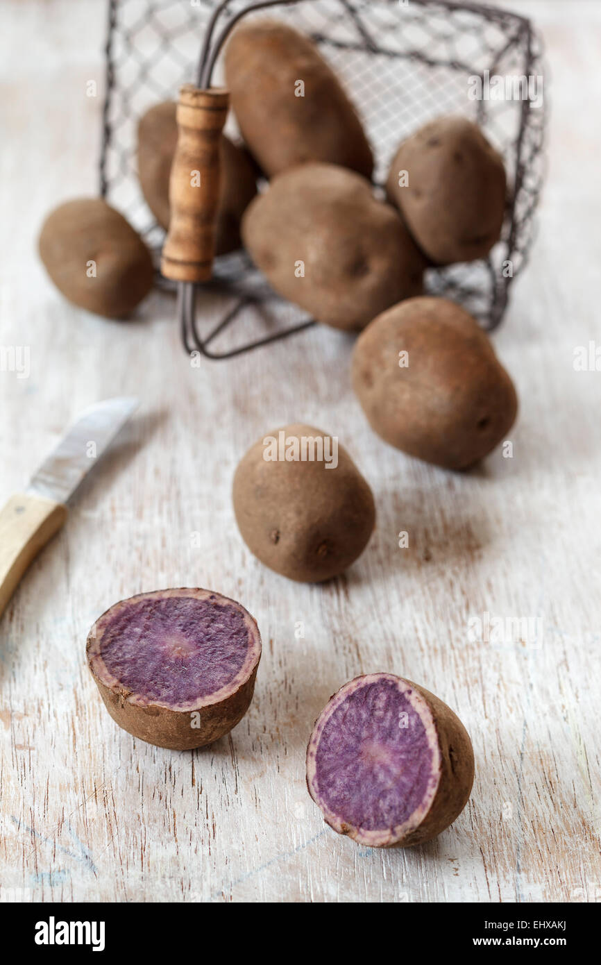 Purple congo hi-res stock photography and images - Alamy