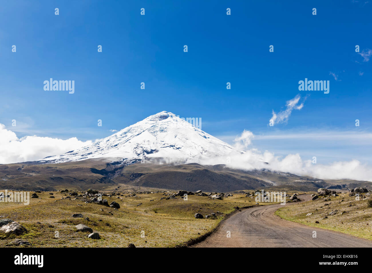 South America, Ecuador, Andes, Volcano Cotopaxi, Cotopaxi National Park ...