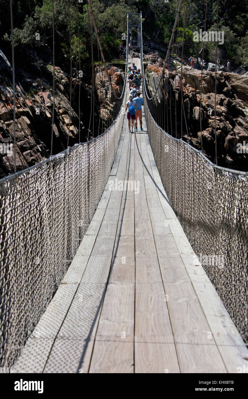Suspension bridge tsitsikamma south africa hi-res stock photography and ...