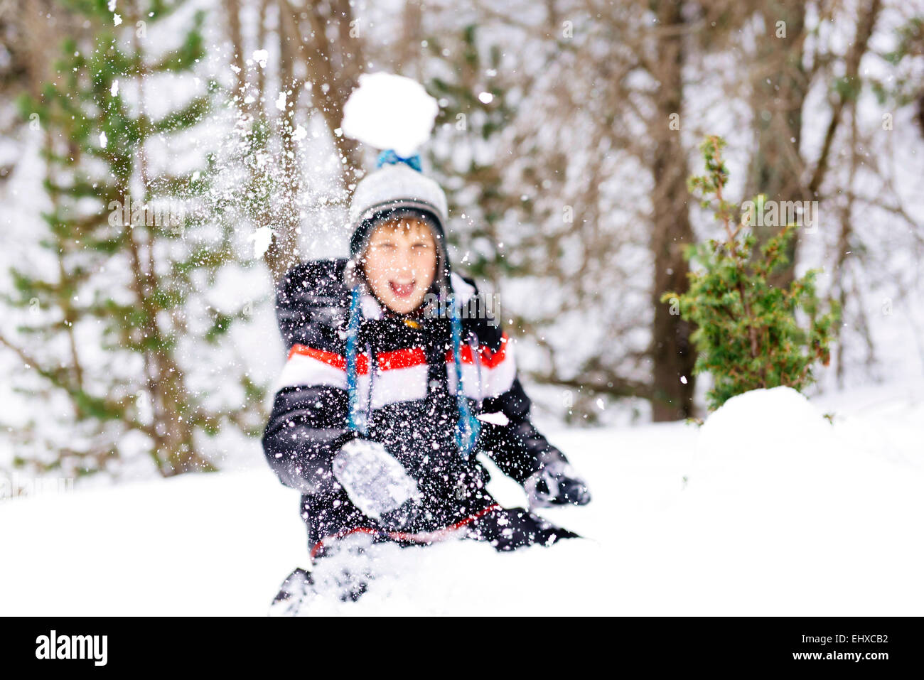 Happy boy throwing a snowball in the woods Stock Photo - Alamy