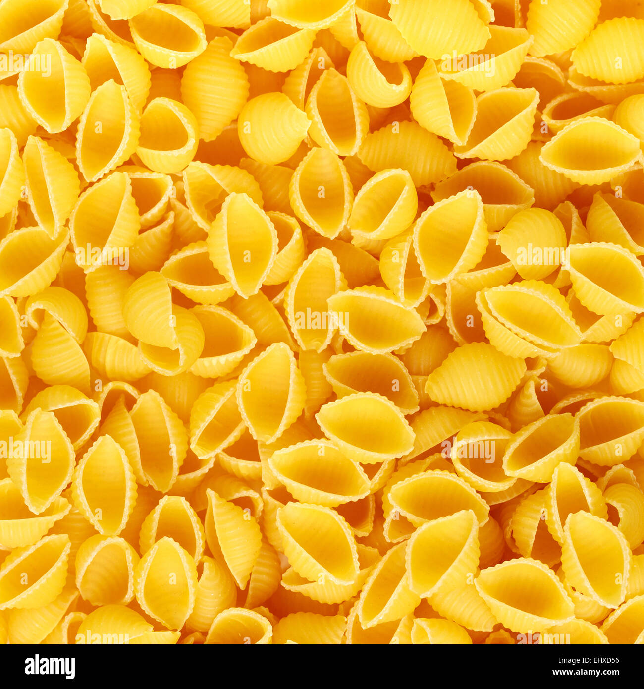 Italian conchiglioni hi-res stock photography and images - Alamy
