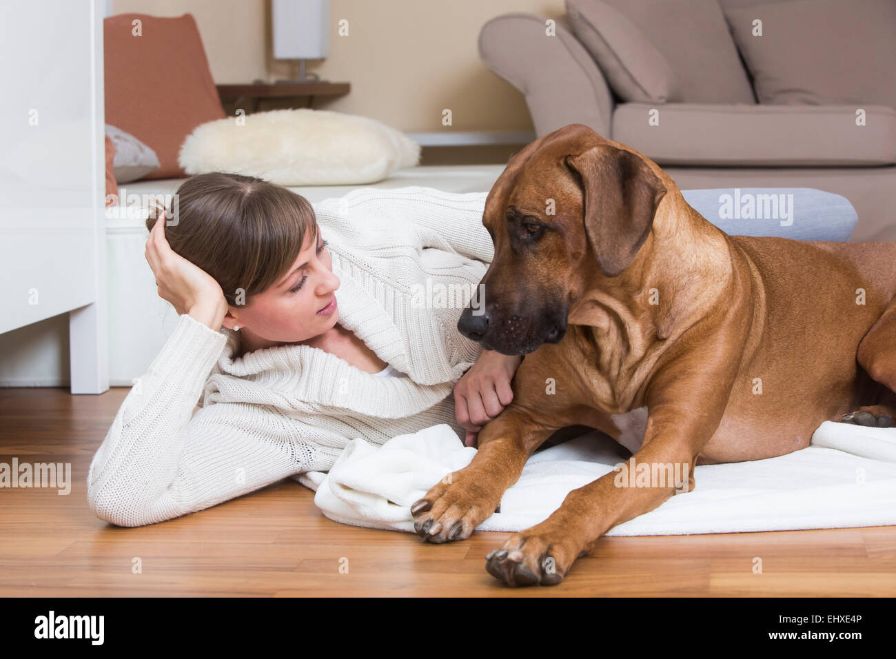 Woman caressing her Rhodesian Ridgeback dog Stock Photo - Alamy