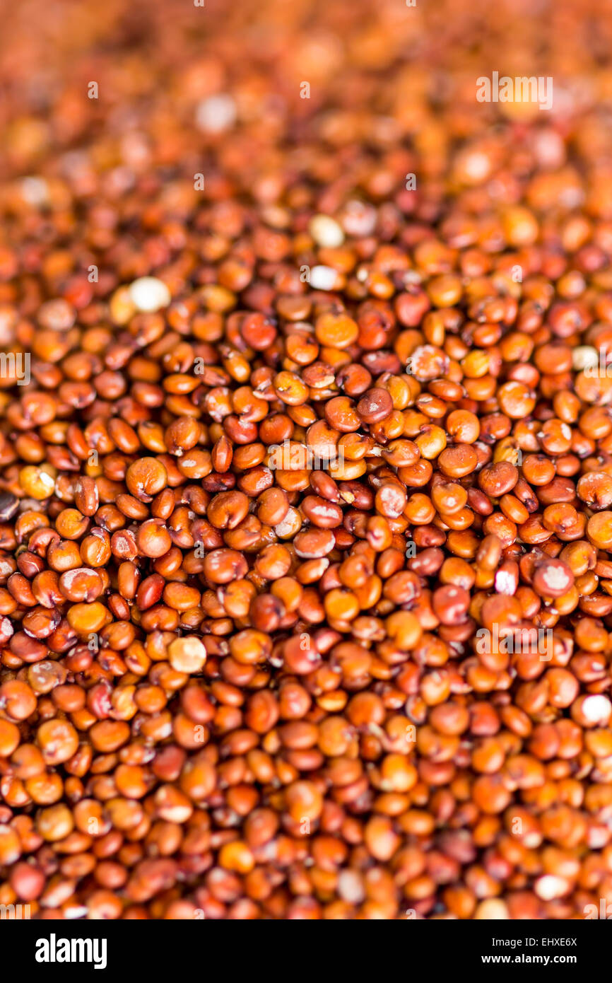 Red quinoa, close-up Stock Photo - Alamy