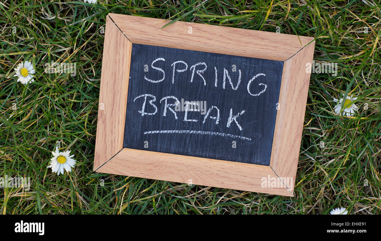 Spring break written on a chalkboard in a park between grass and ...
