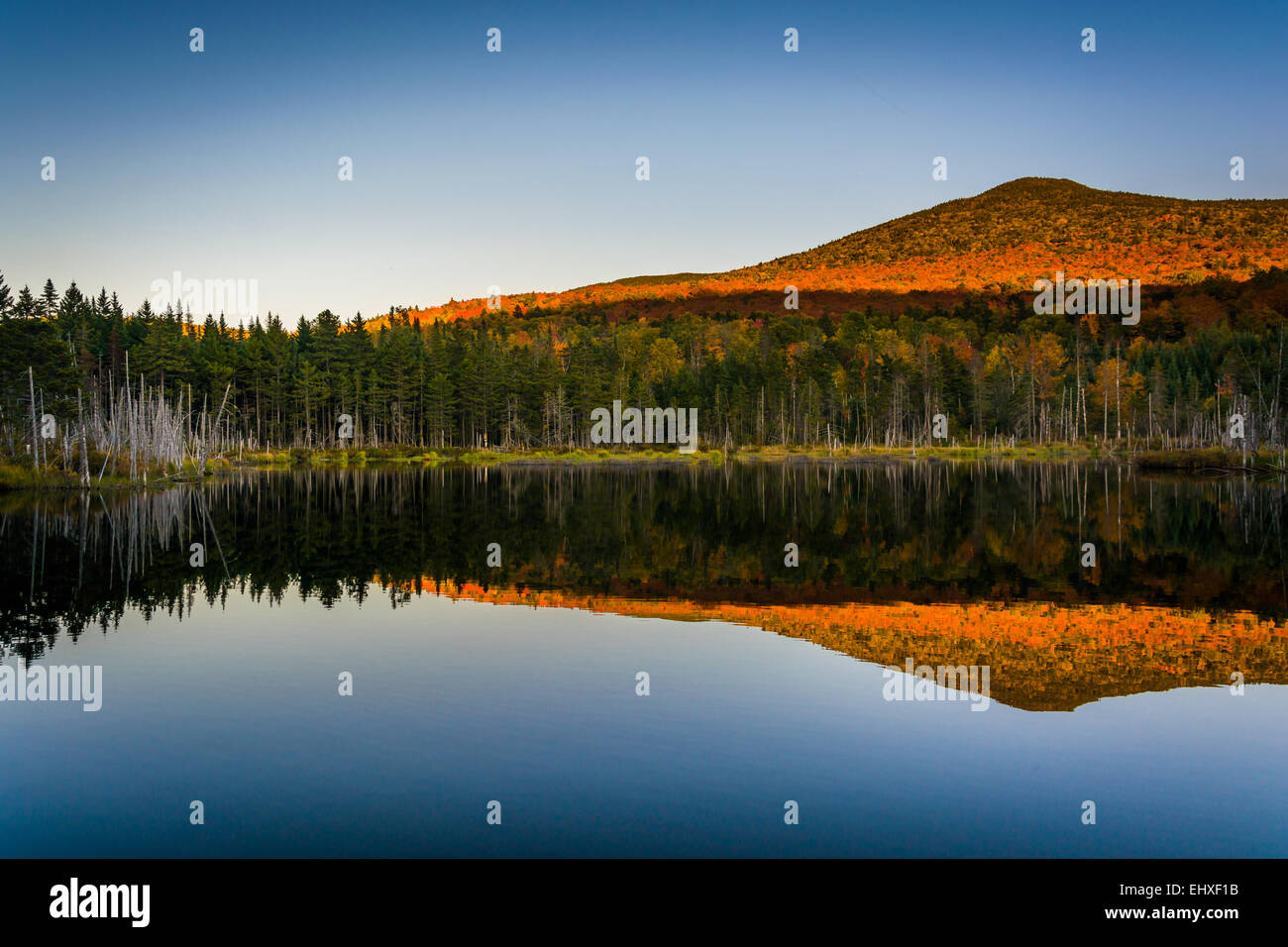 Mount Deception reflecting in a pond in White Mountain National Forest ...