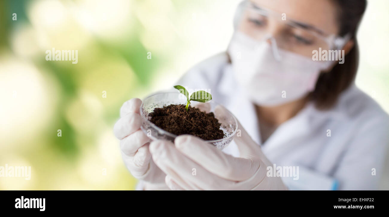 Soil scientist woman hi-res stock photography and images - Alamy