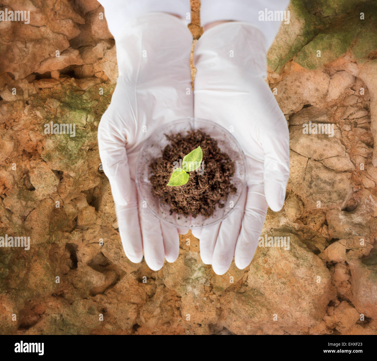Soil resources hi-res stock photography and images - Alamy