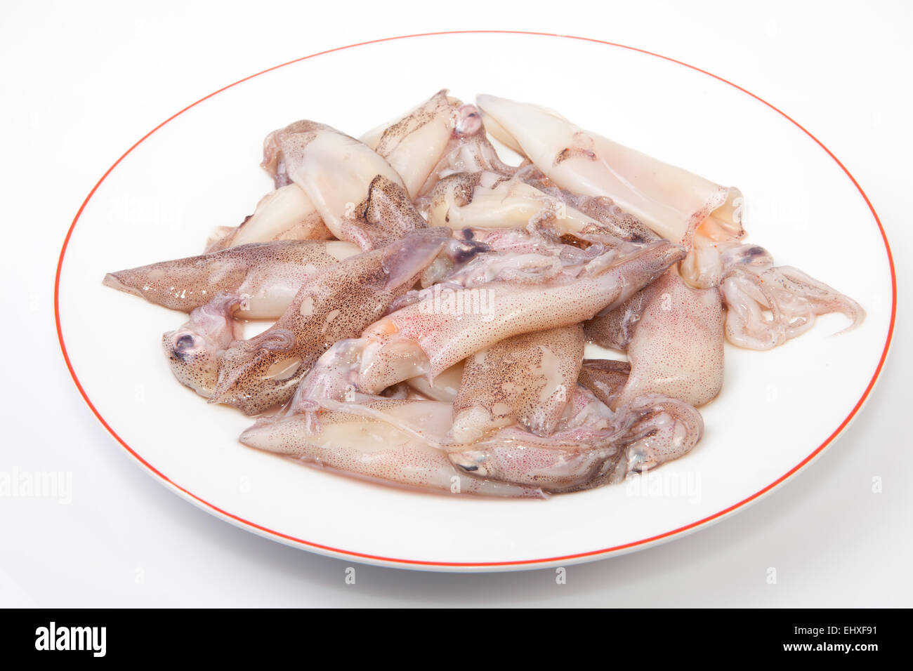 Small freshly squids. Group on plate isolated ove white background ...