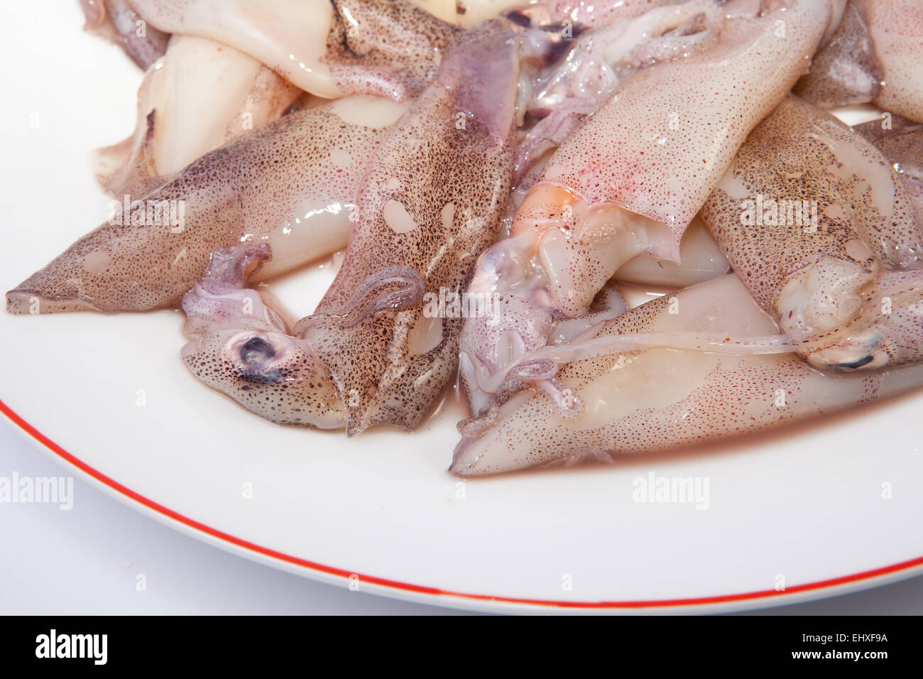 Small freshly squids. Group on plate isolated ove white background ...