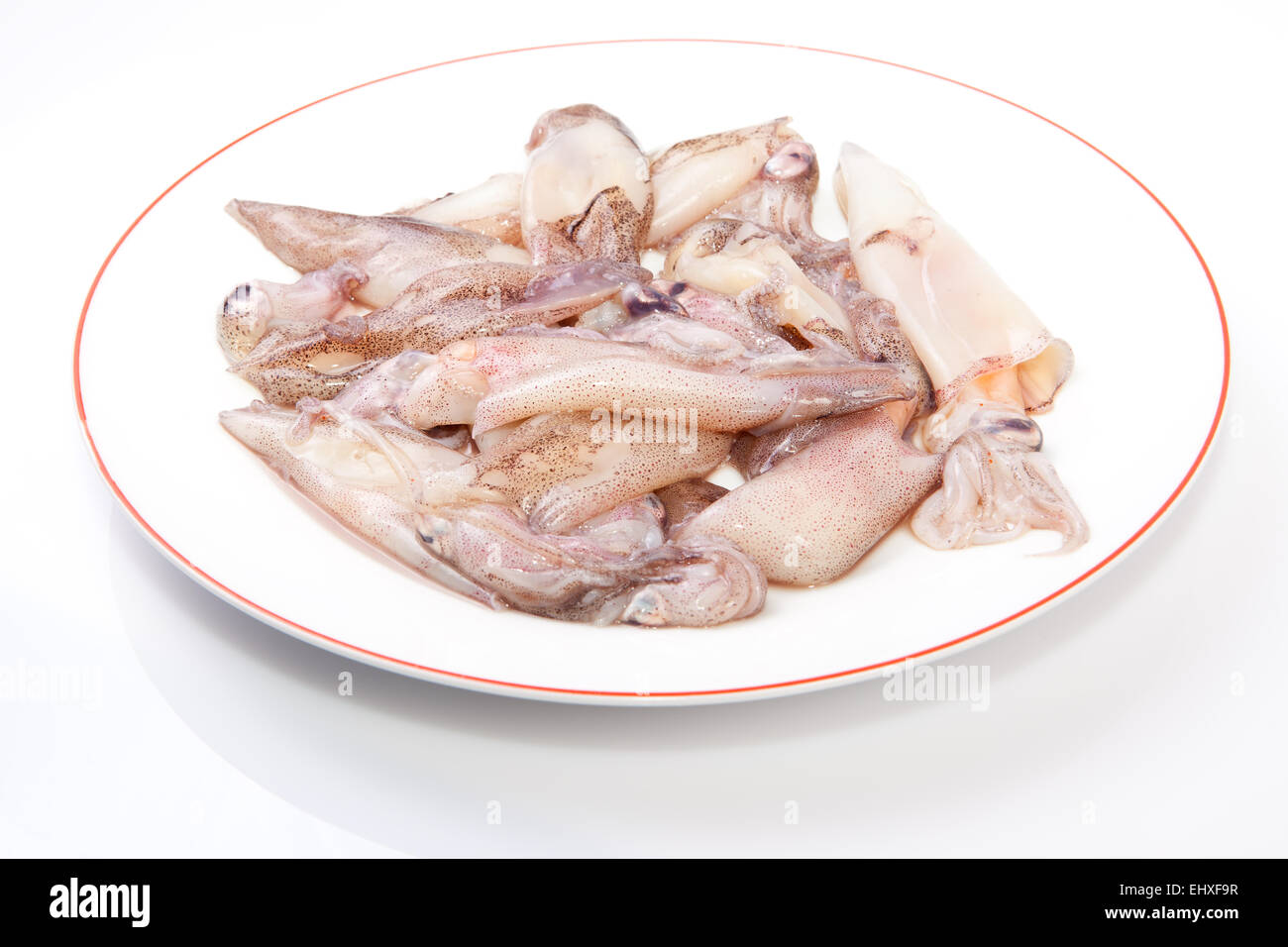 Small freshly squids. Group on plate isolated ove white background ...