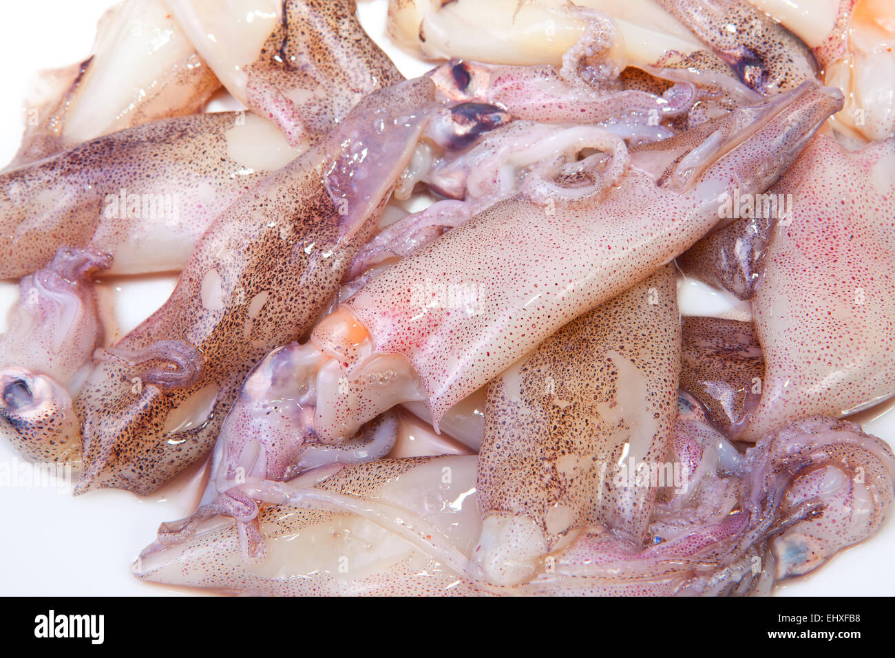 Small freshly squids. Group isolated ove white background Stock Photo ...