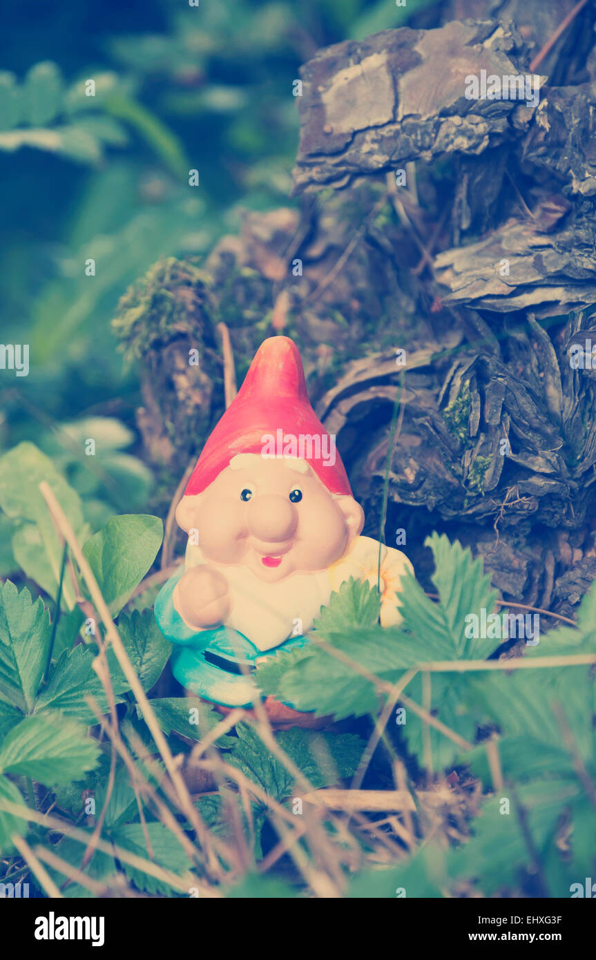 Garden gnome in lawn, Bavaria, Germany Stock Photo - Alamy