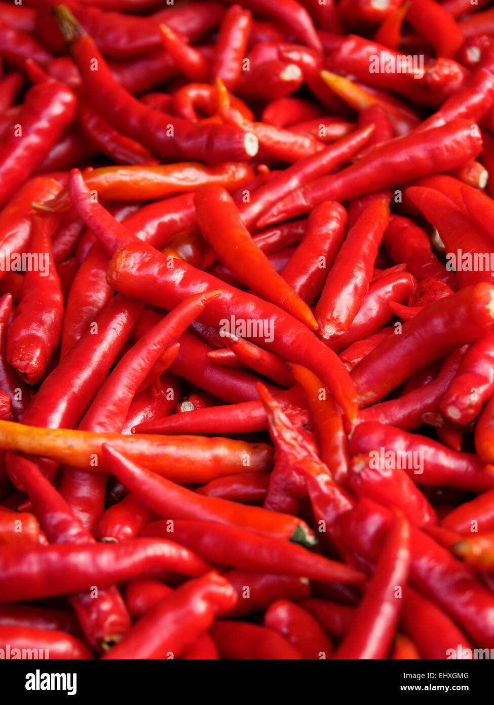 Red chili peppers Stock Photo - Alamy