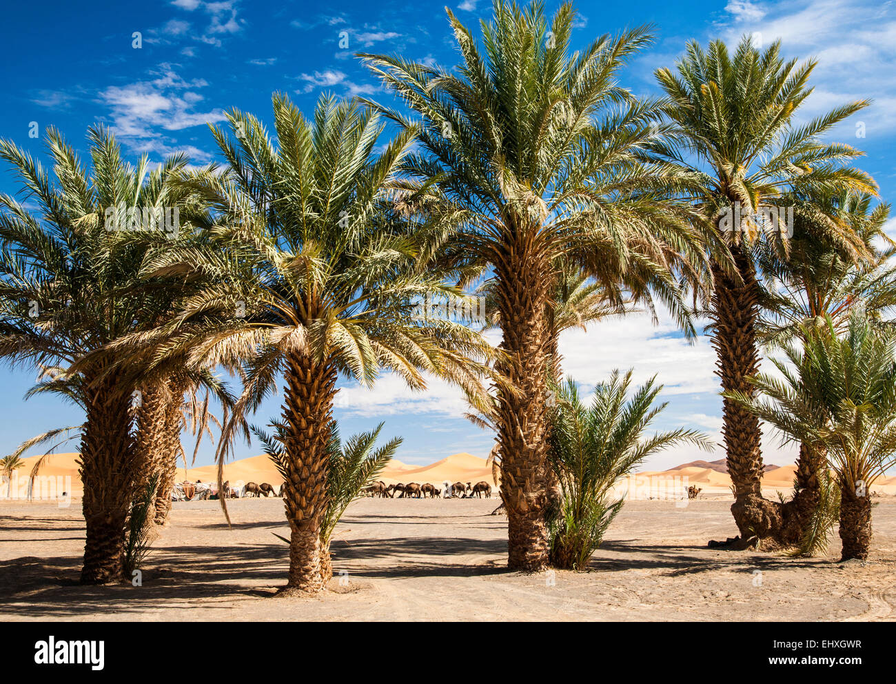 Erg chebbi dunes view hi-res stock photography and images - Alamy