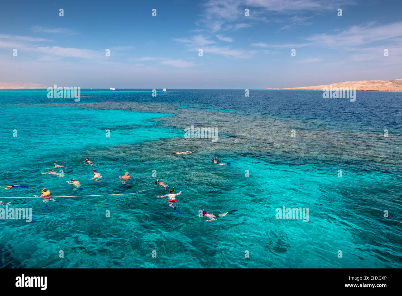 Tourists snorkel around coral reefs in the Red Sea, just off the shores ...